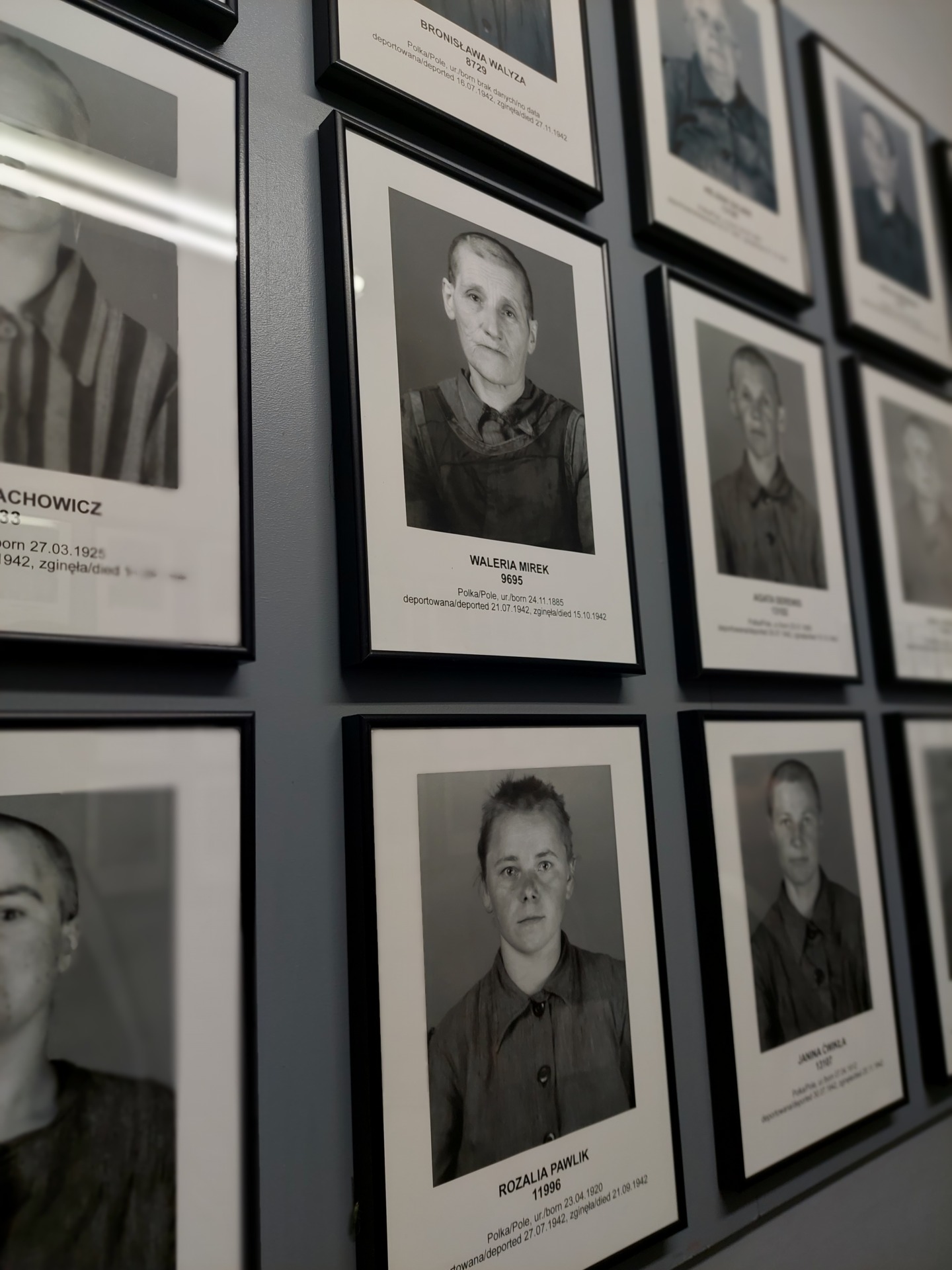 McCain Global Leaders Return to Auschwitz | McCain Institute